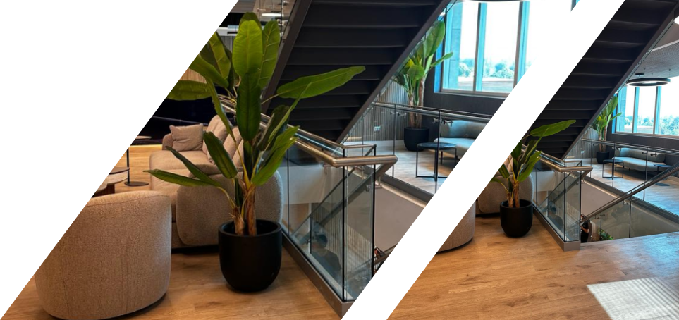 Servicios – Constructora MM